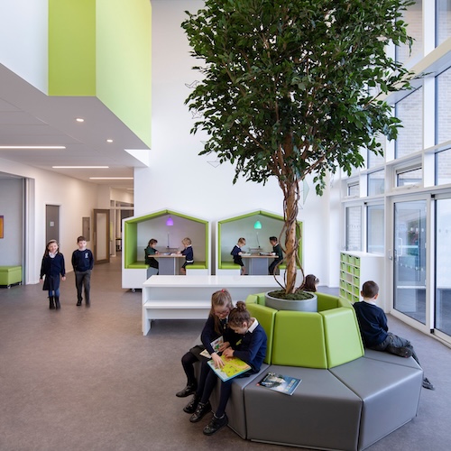 Transform Your School Environment: A Guide to Modern Learning Spaces - Nook